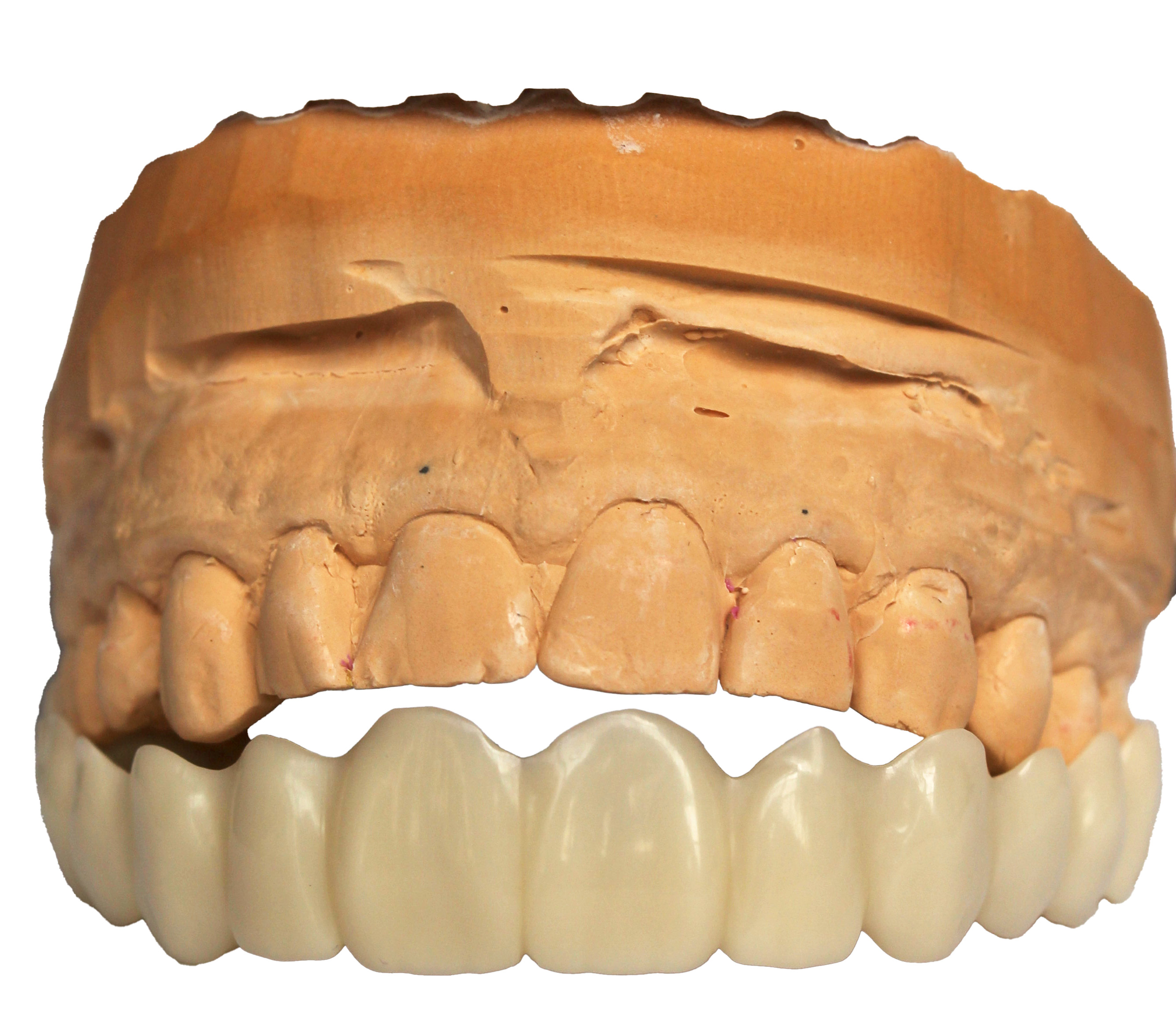 biodentis GmbH